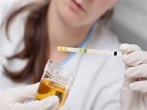 Is Urine Sterile Do Urine ‘therapies Work Experts Debunk Common Pee