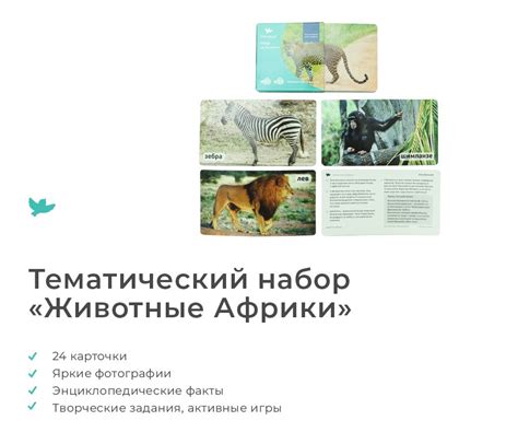 Купить книгу Умница. Мир на ладошке. Жираф на русском языке в Чехии ...