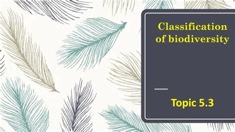 Ppt Biodiversity And Classification Powerpoint Presentation Free