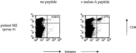 Tetramer Analysis Of In Vitro Expansion In Response To Melan A Peptide