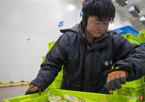 滴汗成冰，三伏天里他穿羽绒服忙分拣