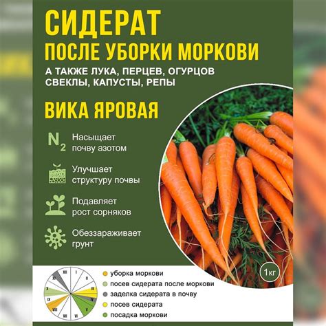 Купить Сидерат Вика яровая 1кг недорого по цене 99руб Garden