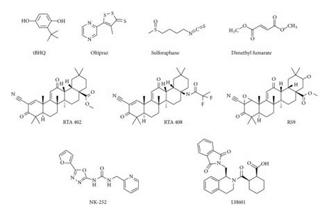 Chemical Structure Of Typical Nrf2 Activators Download Scientific