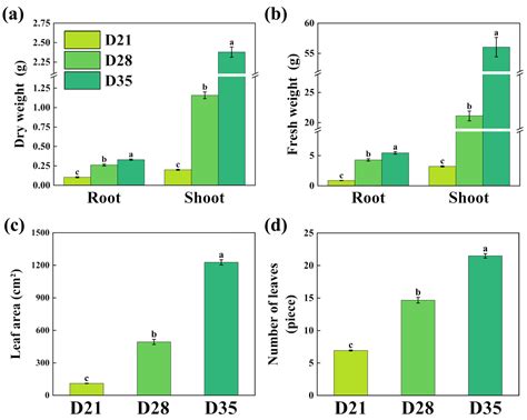 Development Of Lettuce Growth Monitoring Model Based On Three Dimensional Reconstruction Technology