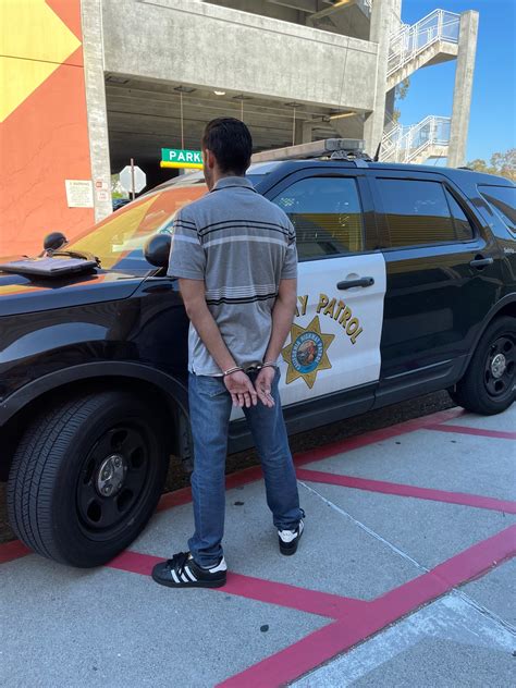 11 People Arrested For Shoplifting And Grand Theft In Milpitas