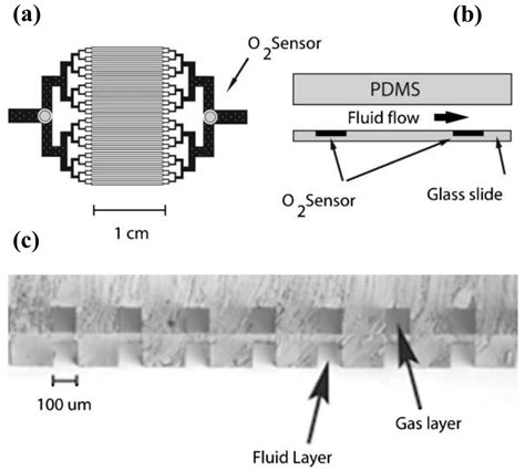 Sensors Free Full Text Microfluidics In Gas Sensing And Artificial Olfaction
