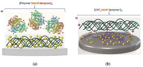 Nanostructure Of The Anodic And Nanomaterials Nanoparticles In