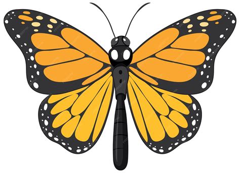 Cute Monarch Butterfly Cartoon