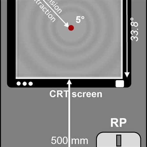 Illustration Of The Simple Reaction Test Setup Participants Reacted As