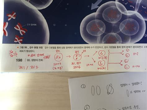 생명과학 기초 질문이요 오르비