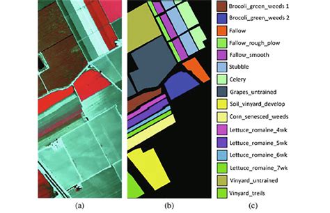 the salinas scene dataset a three band color composite b reference