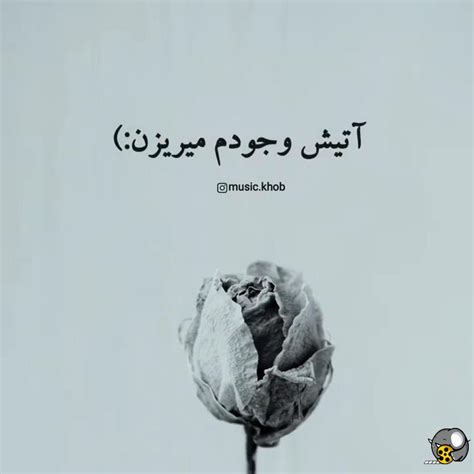 دلم یه ناب میخاد که هروقت حالم خراب شد شمارشو بگیرم فیلو