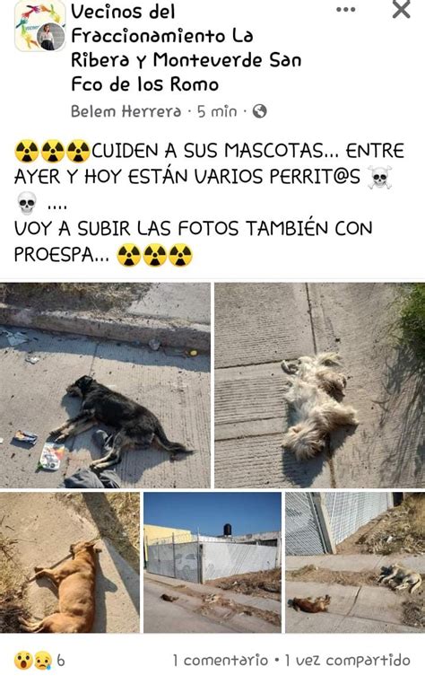 Fundación Toby On Twitter Que Le Esta Pasando A Los Gobernantes
