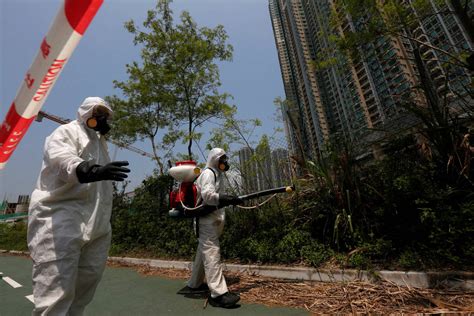 Aumento de Mosquitos em Regiões Temperadas Impacto das Mudanças Climáticas e Riscos de Doenças