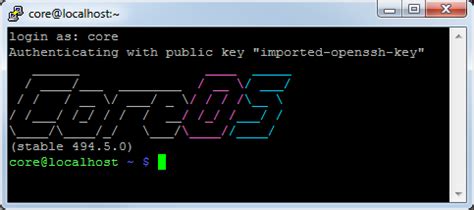 Vagrant Virtualization Introduction Guide