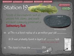 Fossil Lab Gonyoscience