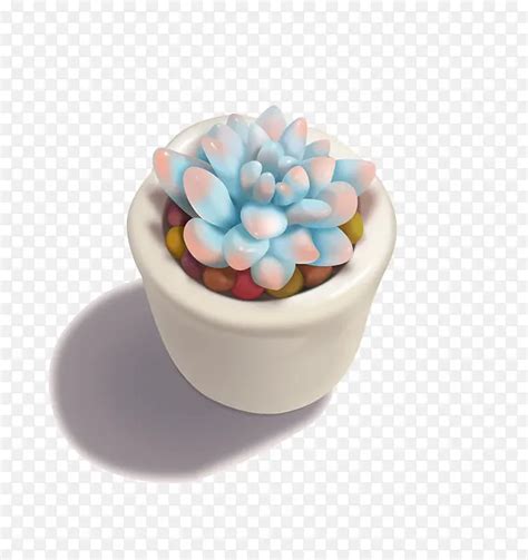 可爱的多肉植物PNG图片素材下载 图片编号qrmwjjvn 免抠素材网