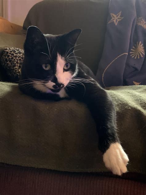 Mickey Saw All Of Your Likes And Decided To Give Us An Extra Dangle R