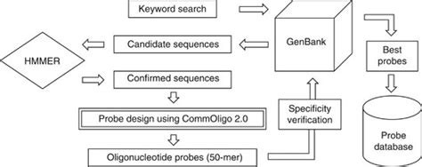 Scheme Of Constructing A Functional Gene Array Using Virulence Genes