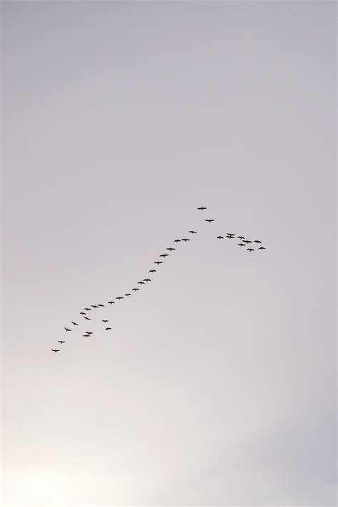 Docker Consolidation Project Part Five