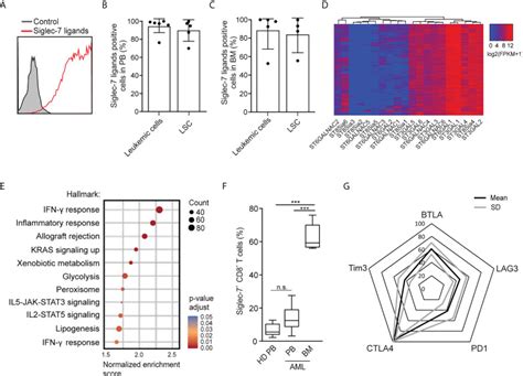 Siglec 7 Represents A Glyco Immune Checkpoint For Non Exhausted Effector Memory Cd8 T Cells