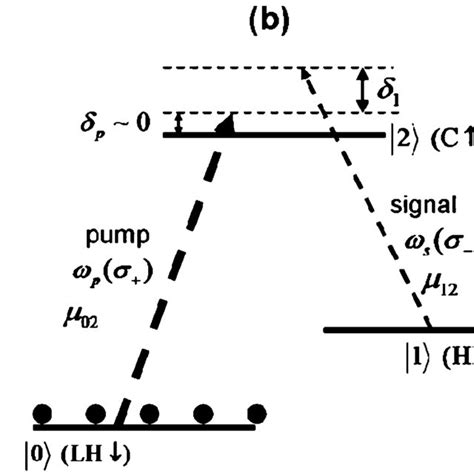 A Energy Level Diagram For The Conventional Stimulated Raman