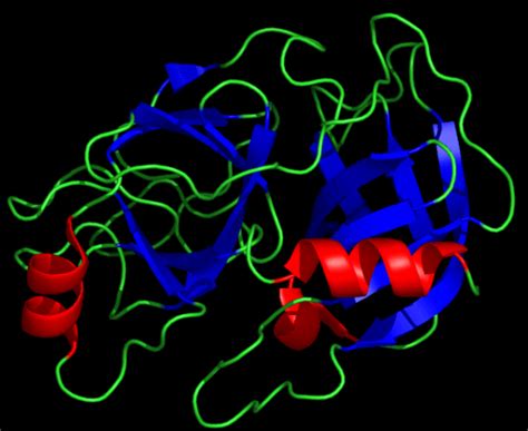 How Does Trypsin Work In Cell Culture Pediaa Com