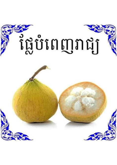 ចំណេះដឹងទូទៅ ចំណេះដឹងទូទៅ Added A New Photo