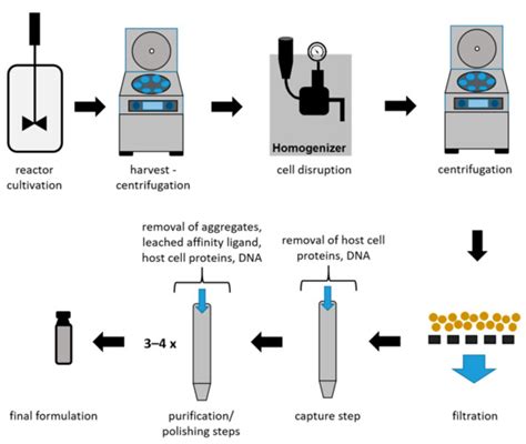 Processes Special Issue Advances In Bioprocess Technology