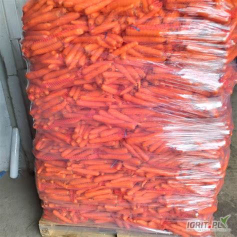 Sprzedam Marchew Młoda Kaliber Handlowy Cena I Opakowanie łódzkie Łęczyca 2038059