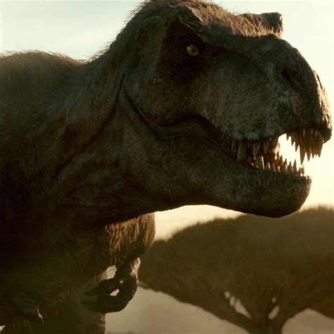 Raptor On Instagram “t Rex🦖 Rexy Trex Roberta Trex