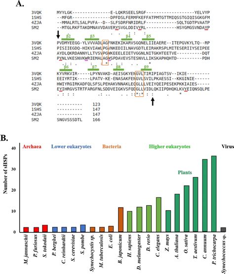 Sequences And Occurrence Of Shsps A Structure Based Sequence