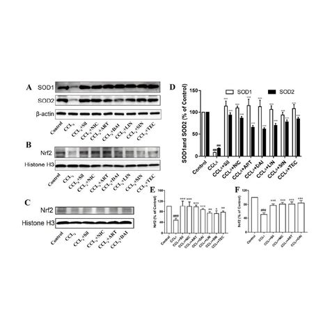 Cadd Aidd 药物研发的加速器 Medchemexpress Mce 知乎