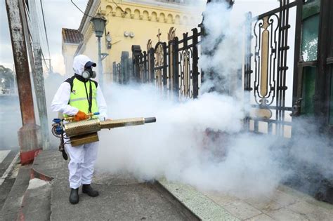¿el Dengue Es Contagioso Cómo Se Transmite La Enfermedad Y Cuáles Son