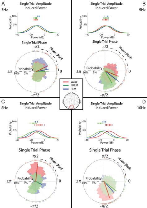 Distributions Of Eeg Phase And Amplitude In Single Trial Visual