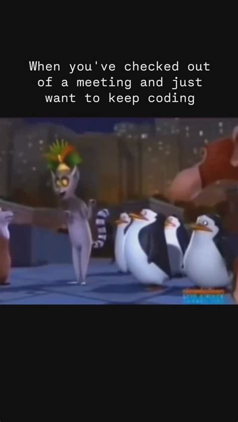 Coding Memes Meme Memecut Programming Program Coding Code
