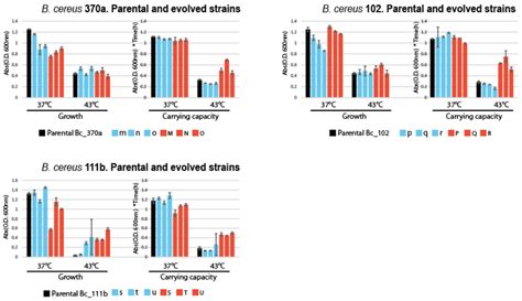 Thermal Plasticity And Evolutionary Constraints In Bacillus