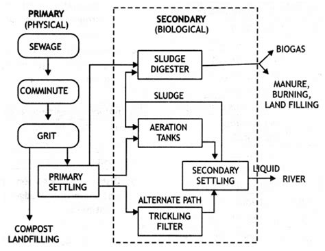Microbes In Human Welfare Class Important Extra Questions Biology Chapter NCERT MCQ