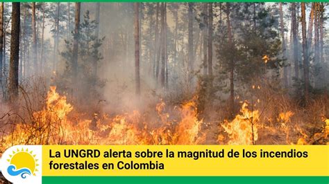 📰la Ungrd Alerta Sobre La Magnitud De Los Incendios Forestales En Colombia