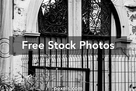 Metabolism Of Iron Photos Download The Best Free Metabolism Of Iron