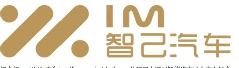 两个斜杠两个点是什么车 有驾