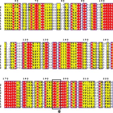 Multiple Amino Acid Sequence Alignment Of Cel1029 With Its Closest
