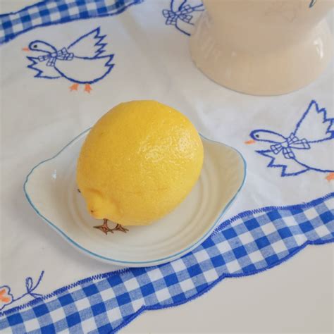 레몬씨 씨앗발아 레몬즙 껍질 활용법 네이버 블로그