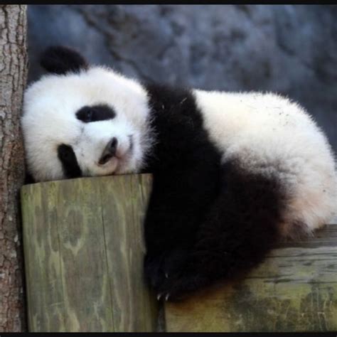 Aidro Mexj40xixw955vkxgg5jnk0ypx4q4xzvacux93 S900 C K C0x00ffffff No Rj