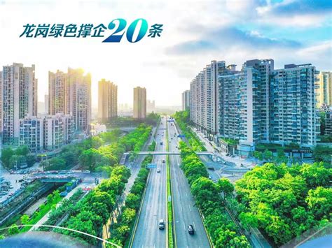 大运综合交通枢纽工程 “湾区之舞”雏形初现