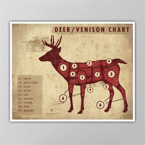 Cuts Of Venison Butcher Chart Etsy