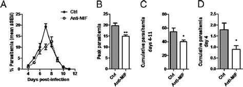 Kinetics Of P C Adami Dk Infection A Peak B And Cumulative
