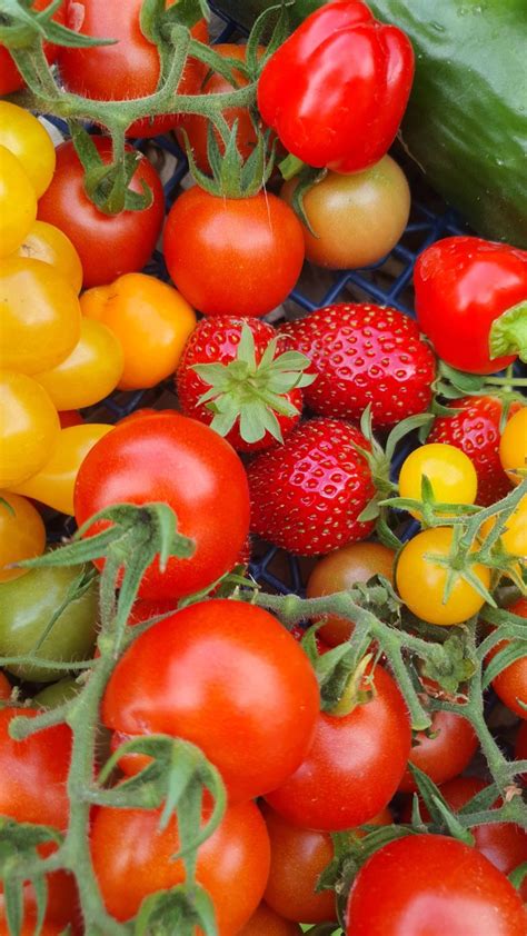 Communitymanagement Plv Greatplacetowork Environnementdetravail… Noureddine Mamlouk