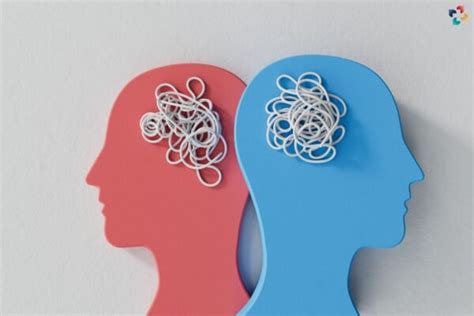 Understanding The Personality Complex Test A Comprehensive Guide The