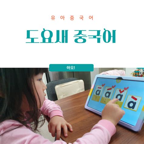 도요새 중국어 유아중국어 엄마와 함께한 첫걸음 네이버 블로그